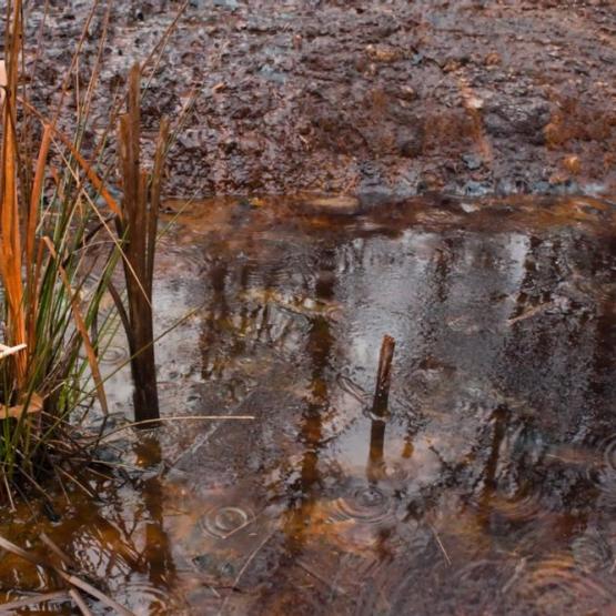 Water | Ohio University